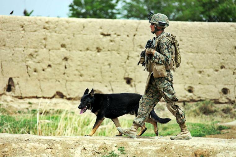 🔥 [140+] Marines Backgrounds | WallpaperSafari