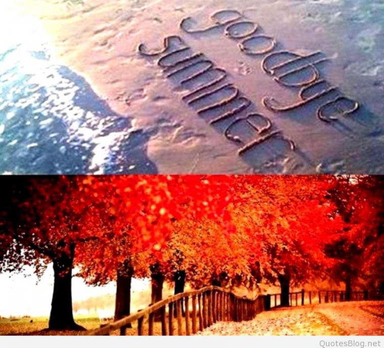 🔥 [10+] Goodbye Summer Wallpapers | WallpaperSafari