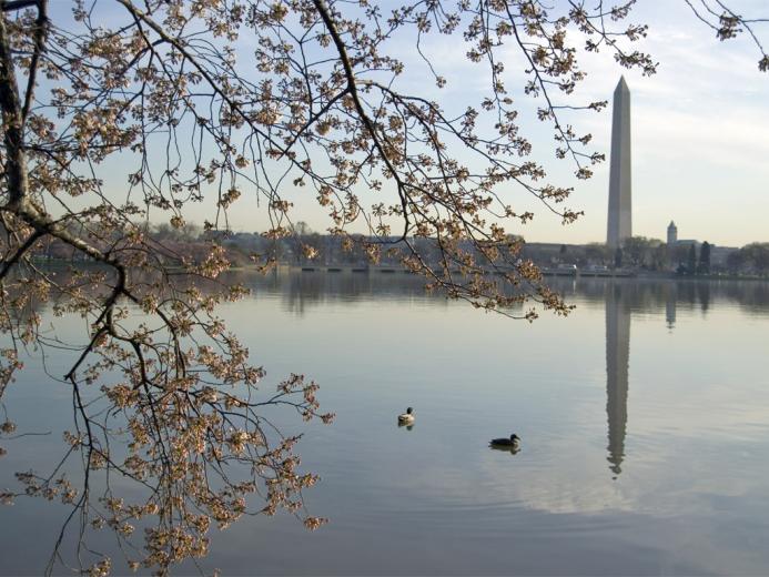 🔥 [90+] Washington DC Desktop Wallpapers | WallpaperSafari