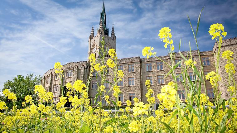 🔥 [50+] UWO Wallpapers | WallpaperSafari