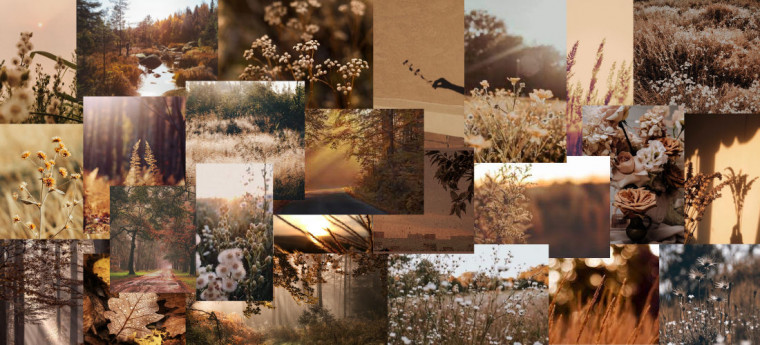 🔥 Free Download Light Brown Nature Collage By rosiee33333 by ...