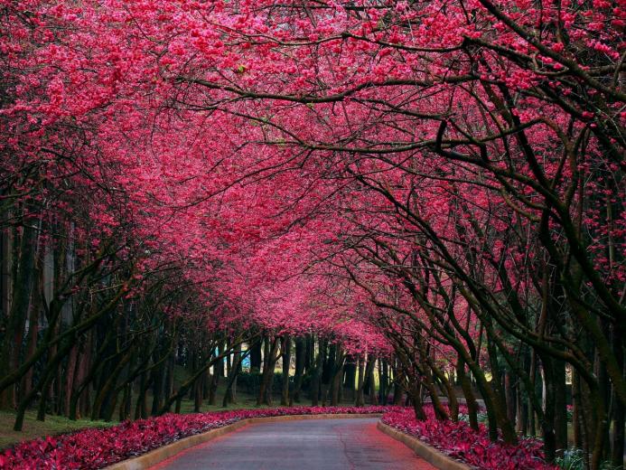 🔥 [50+] Real Wallpapers of Nature | WallpaperSafari