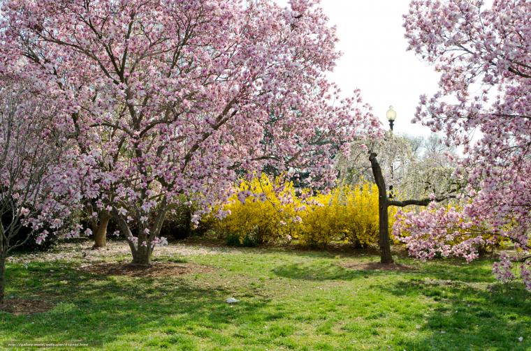 🔥 [50+] Spring Garden Wallpapers Desktop | WallpaperSafari