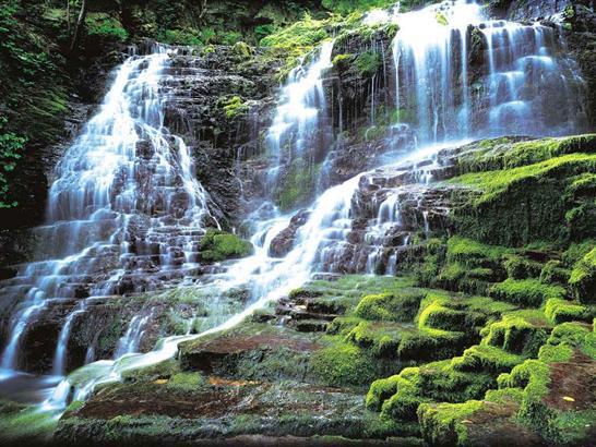 🔥 [50+] Crawler Wallpapers Free | WallpaperSafari