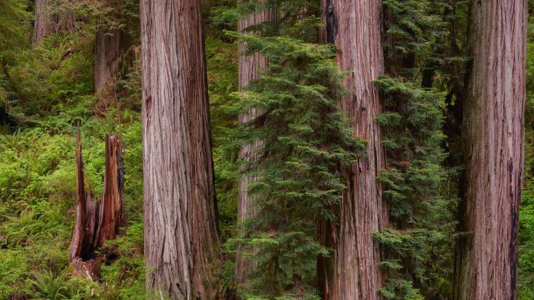 🔥 [120+] Super High Def Wallpapers | WallpaperSafari