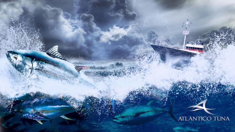 🔥 [90+] Tuna Wallpapers | WallpaperSafari