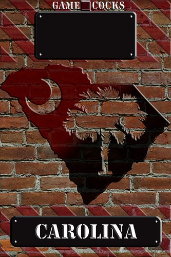 Free download Gamecock Wallpaper 02 by jwo2013 [900x622] for your ...