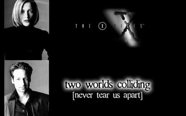 🔥 [50+] Rip Apart Wallpapers | WallpaperSafari