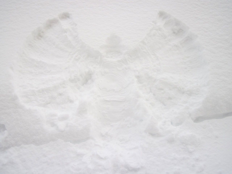 🔥 [60+] Snow Angel Wallpapers | WallpaperSafari