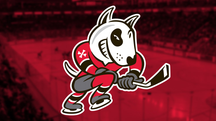 🔥 [30+] Niagara Ice Dog Logos Wallpapers | WallpaperSafari