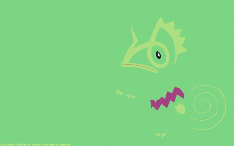 Free download pokemon shellder 2560x1600 wallpaper Anime Pokemon HD ...