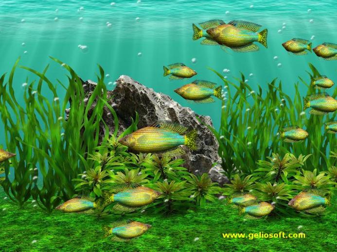 Free download Aquarium Screensaver Animated Aquaworld ...