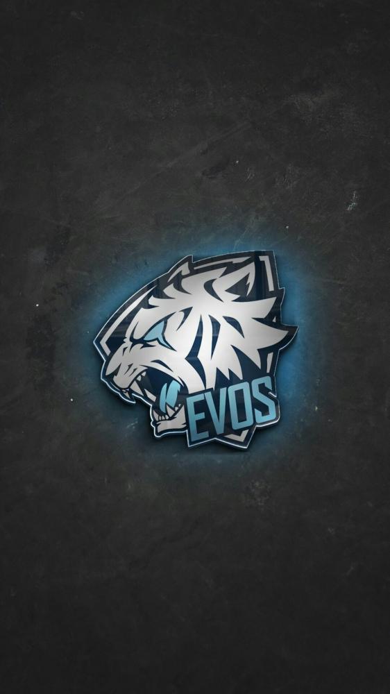 🔥 [20+] EVOS Esports Wallpapers | WallpaperSafari