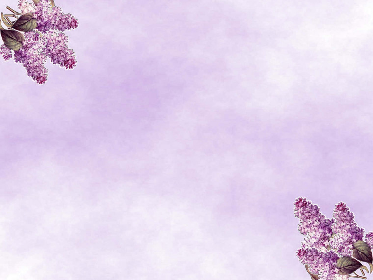 🔥 [70+] Lilac Color Wallpapers | WallpaperSafari