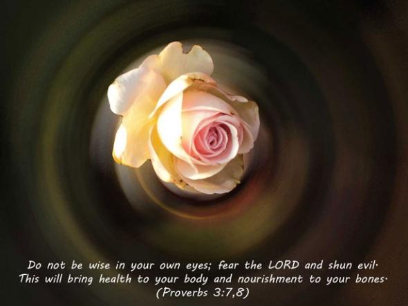 🔥 [50+] Proverbs Wallpapers Scriptures | WallpaperSafari