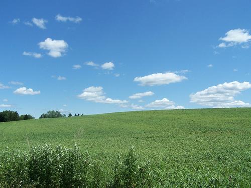 🔥 [50+] Default Desktop Wallpapers | WallpaperSafari