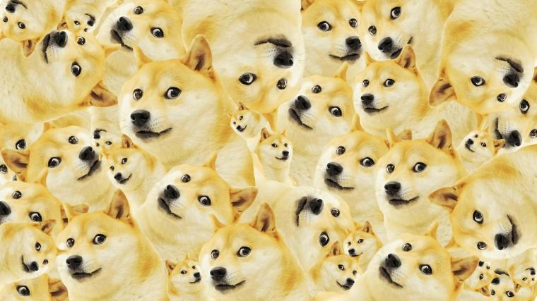 🔥 Free Download Happy Shibe Happiness Cute Dogs Puppies Shiba Inu ...