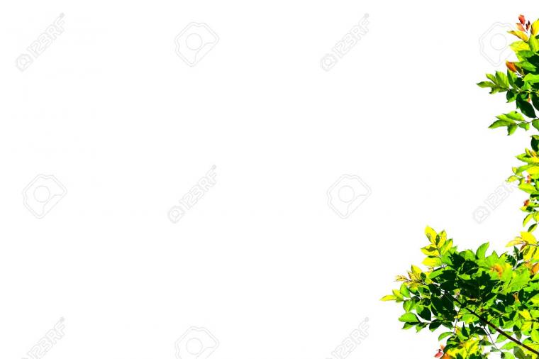 Free download Normal Background 99 images in Collection Page 1 ...