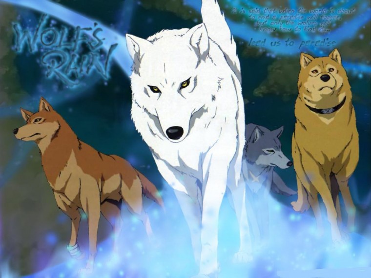 Free download wolfs rain Wolfs Rain Wallpaper 9503240 [1280x1024] for your Desktop, Mobile ...
