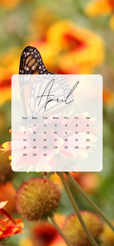 🔥 [60+] Cute April Wallpapers | WallpaperSafari