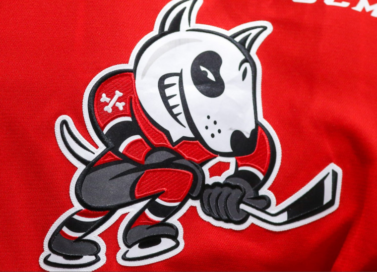 🔥 [30+] Niagara Ice Dog Logos Wallpapers | WallpaperSafari