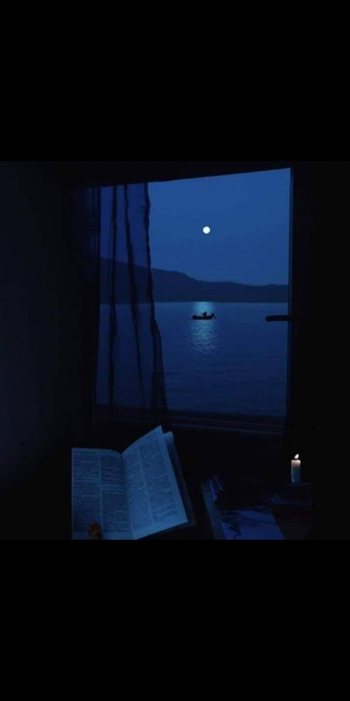 🔥 Free Download Eye Photography Wallpaper Bold Brows Makeup Edgy Insta ...