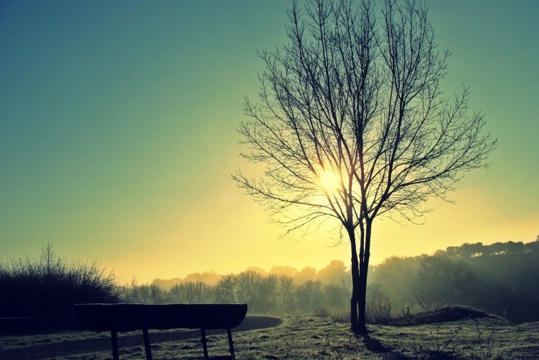 🔥 Free Download Top Misty Hd Wallpaper by @raymondweaver | WallpaperSafari