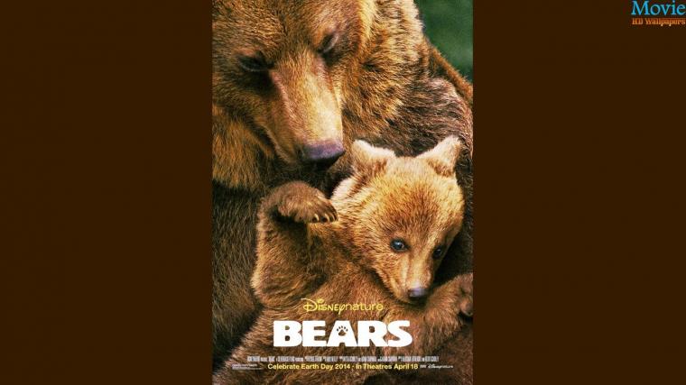 🔥 [50+] Bears Wallpapers 2014 | WallpaperSafari