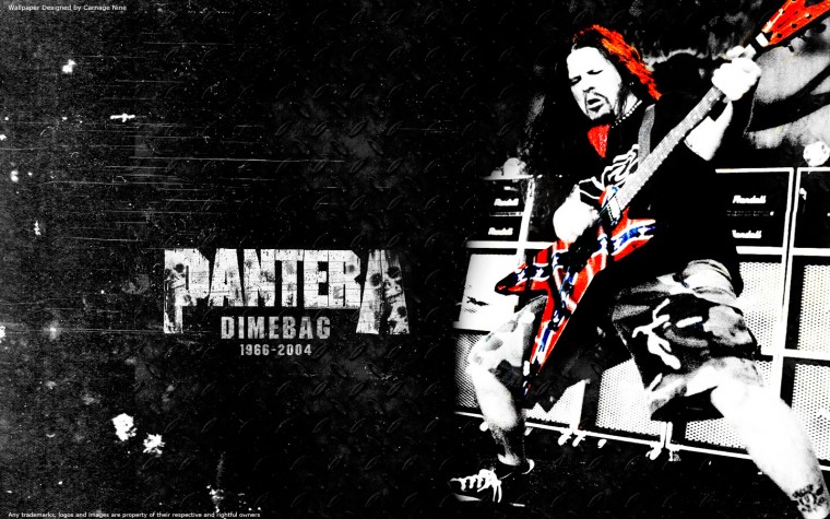 🔥 [120+] Pantera Backgrounds | WallpaperSafari