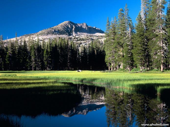 🔥 [50+] Natural View Wallpapers | WallpaperSafari