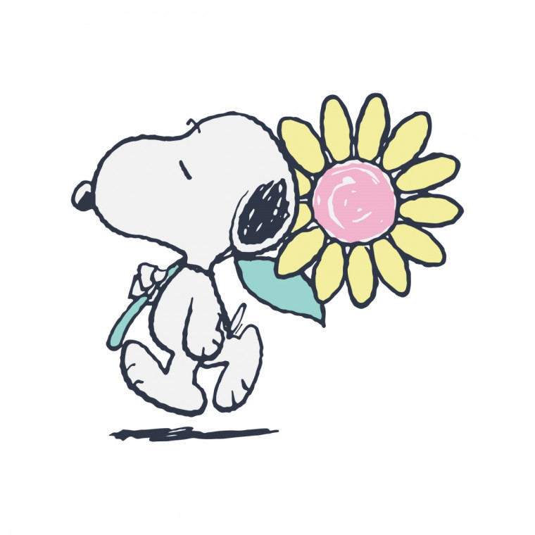 🔥 [60+] Snoopy Spring 4k Wallpapers | WallpaperSafari