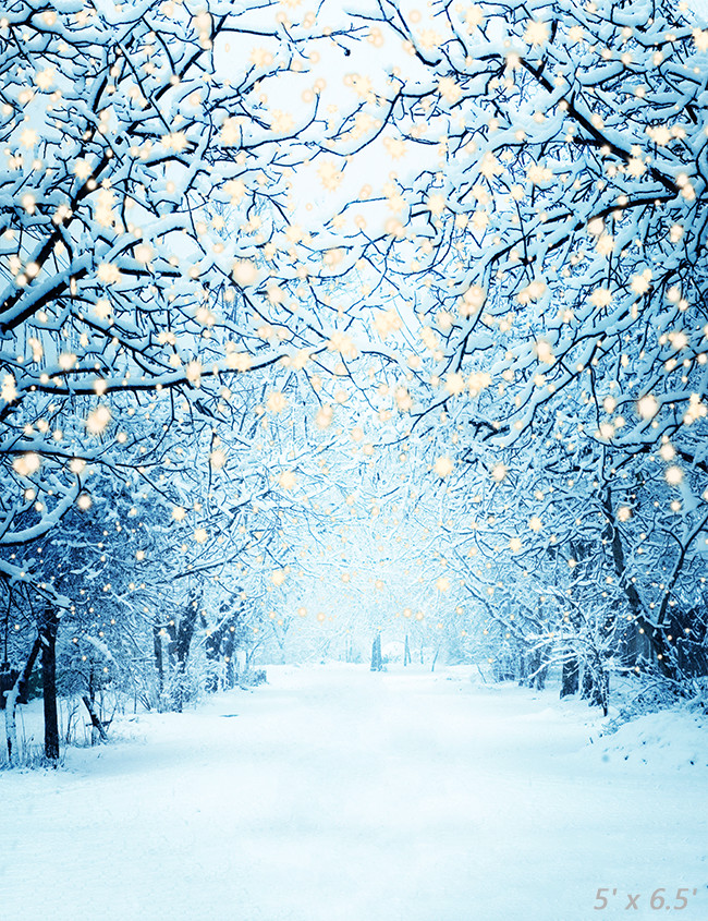 🔥 Free Download Kate Winter Outside Snow Frosted World Path Backdrop ...