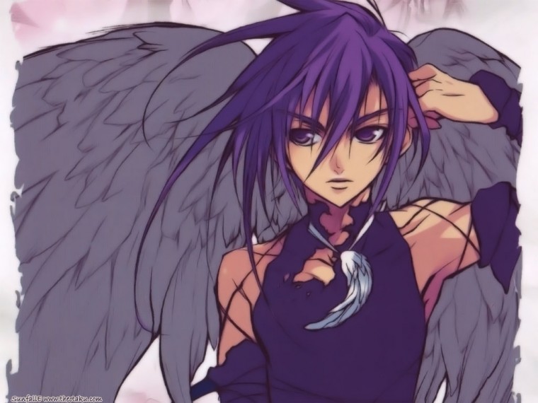 🔥 [80+] Dn Angel Wallpapers | WallpaperSafari
