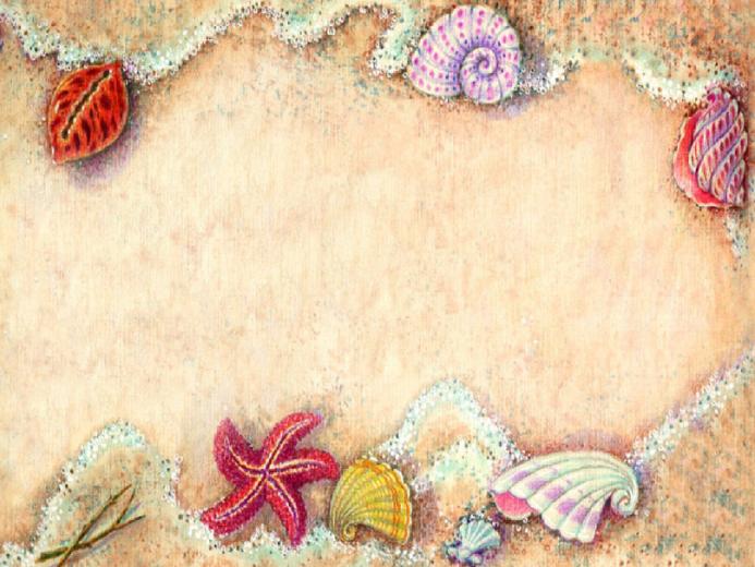 🔥 [40+] Beach Seashell Wallpapers | WallpaperSafari