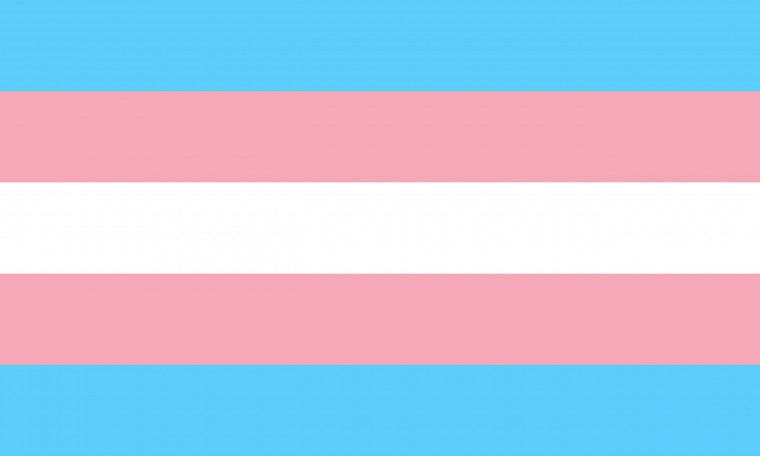 🔥 [50+] Trans Flag Wallpapers | WallpaperSafari