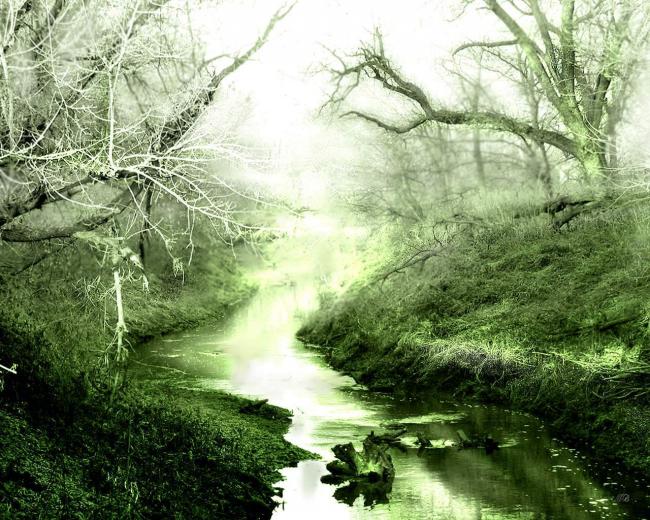 🔥 Free Download Beautiful Green Forest River Wide Hd Wallpaper Search ...