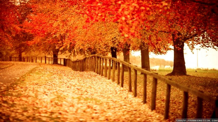 🔥 [60+] Beautiful Autumn Desktop Wallpapers | WallpaperSafari