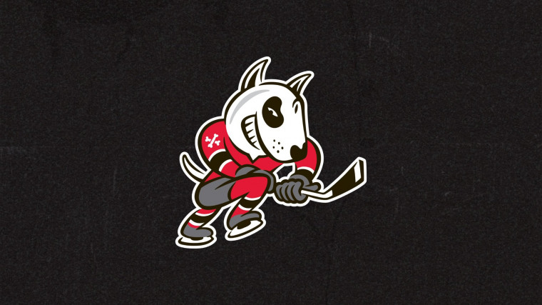 🔥 [30+] Niagara Ice Dog Logos Wallpapers | WallpaperSafari