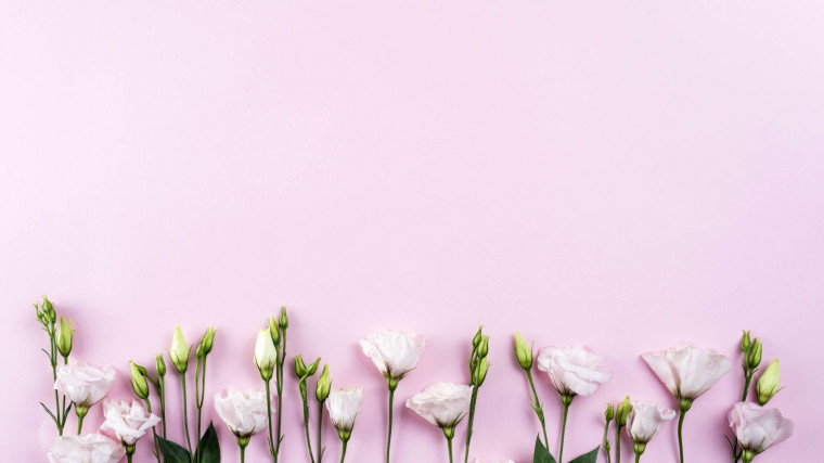 🔥 [40+] Minimal Spring Wallpapers | WallpaperSafari