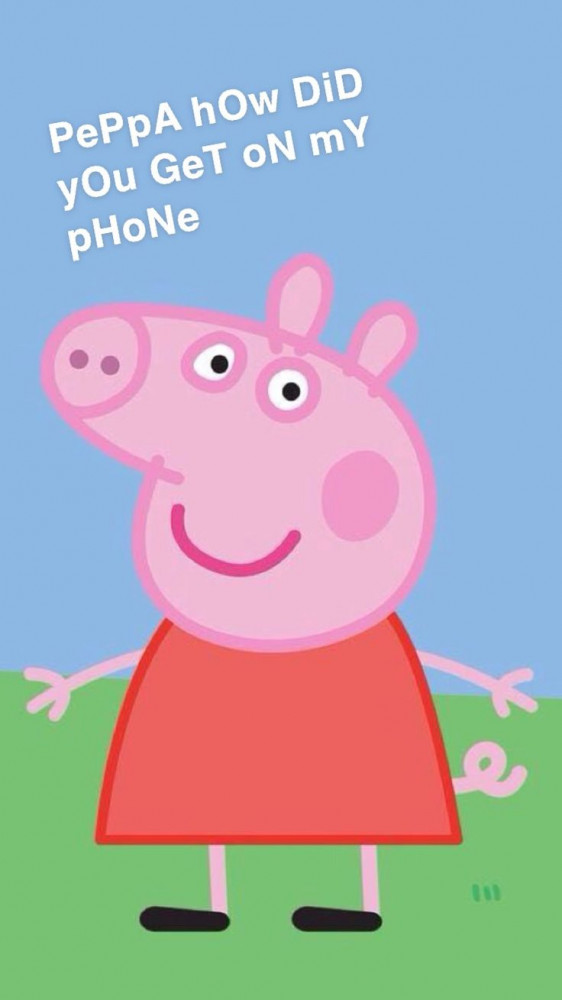 🔥 [40+] Peppa Pig Memes Wallpapers | WallpaperSafari