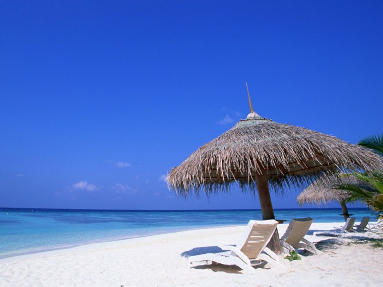 🔥 Free Download Daily Amazing Fun Desktop Wallpaper Beach Background by ...