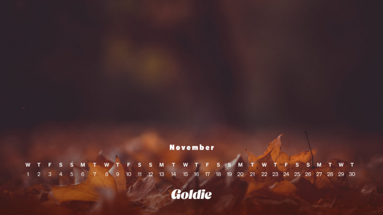 🔥 Free Download November Wallpaper Calendars Desktop Mobile by @nwalsh ...