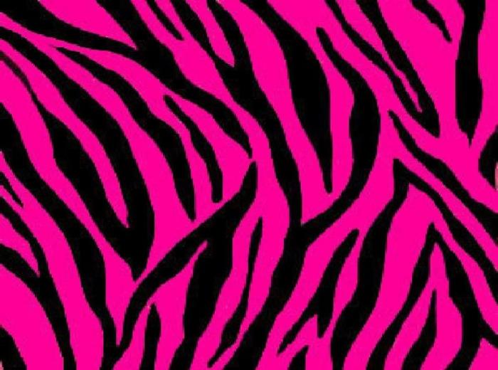 🔥 [70+] Pink Zebra Wallpapers | WallpaperSafari