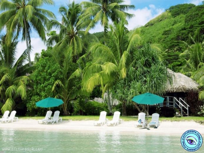 🔥 [50+] 800 x 600 Summer Wallpapers | WallpaperSafari