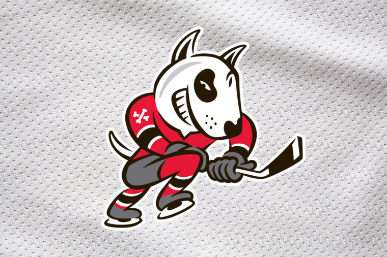 🔥 [30+] Niagara Ice Dog Logos Wallpapers | WallpaperSafari