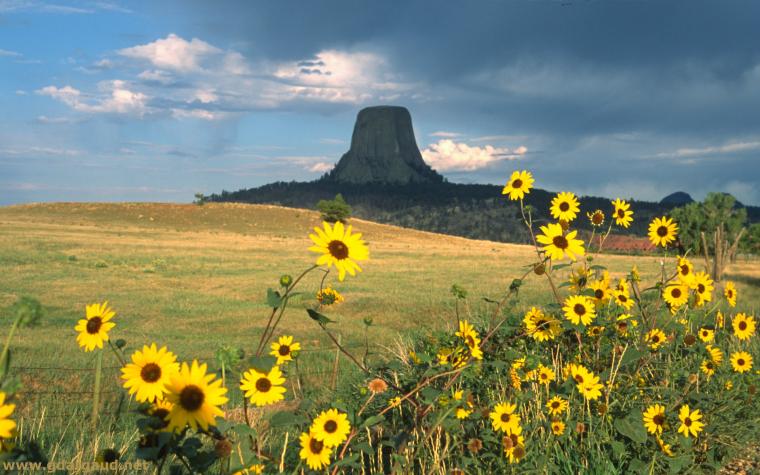 🔥 [40+] Devils Tower Wallpapers | WallpaperSafari