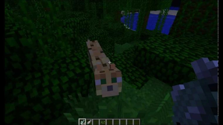 🔥 [50+] Minecraft Ocelot Wallpapers | WallpaperSafari