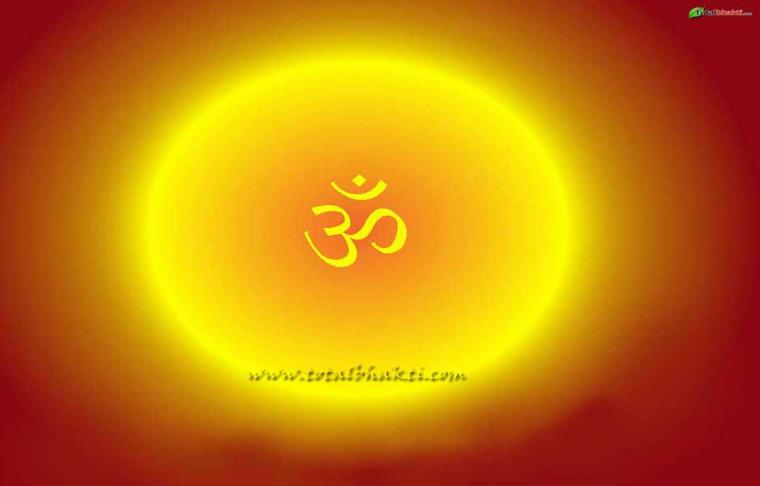 Free download Download Yellow Fairy Rose Wallpaper Background 1366x768 ...