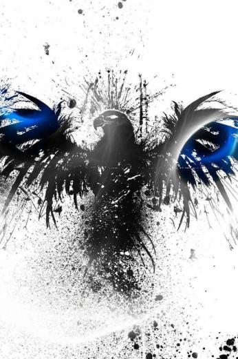 🔥 [140+] Hawk Wallpapers | WallpaperSafari