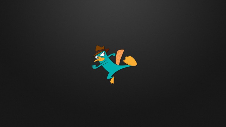 🔥 [100+] Perry The Platypus Wallpapers | WallpaperSafari